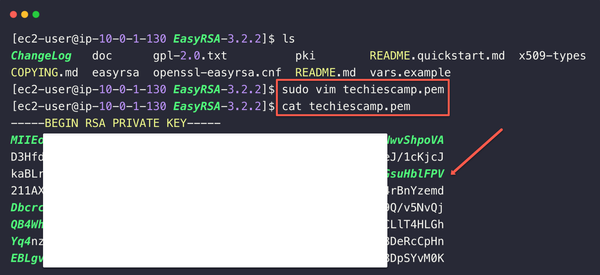 Setup OpenVPN Server In EC2 For Secure AWS Access