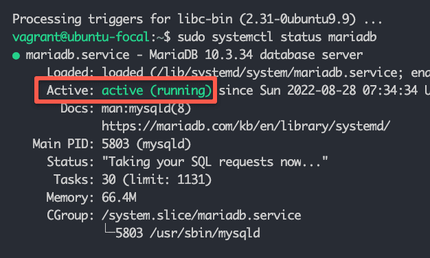 How to Install MariaDB on Ubuntu [Setup & Configurations]