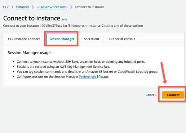 How To Access A Private EC2 Instance Using AWS SSM?