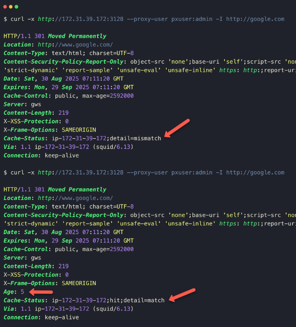 How To Setup and Configures Proxy Server - Squid Proxy